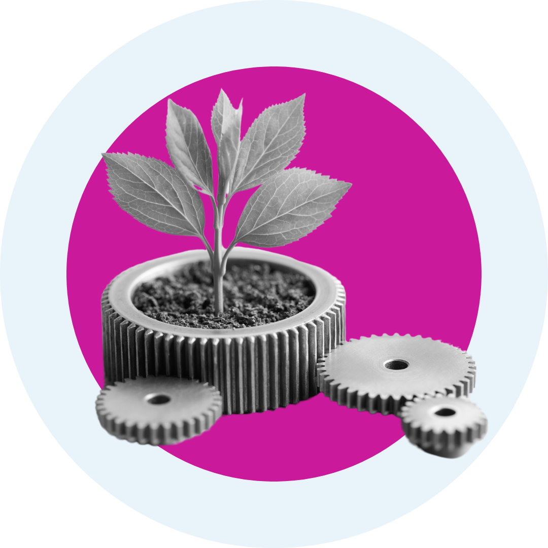 HubSpot Case Studies: Sustainable growth & reporting